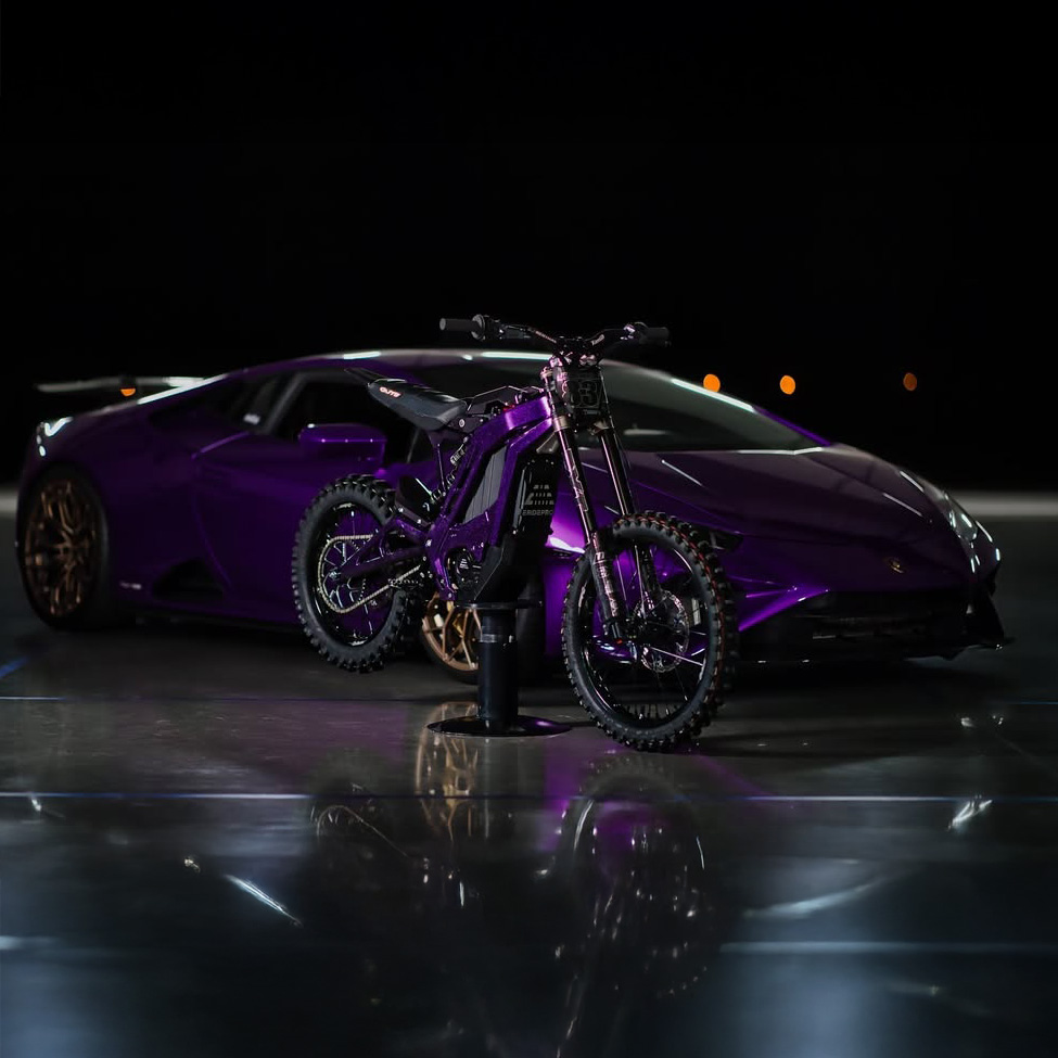 ERIDE PRO